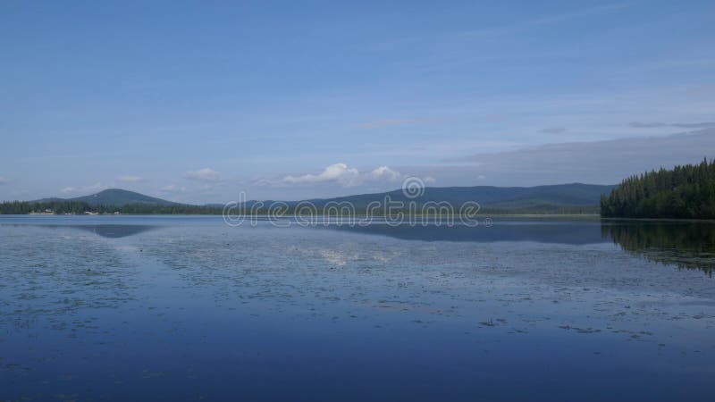 Alaska`s Birch Lake stock photo. Image of states, interior - 153856952