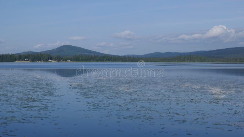 Alaska`s Birch Lake stock image. Image of hill, cloud - 153857009