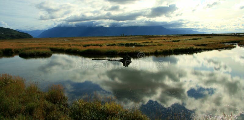 Alaska Stream stock image. Image of clouds, foothill, panorama - 3382337