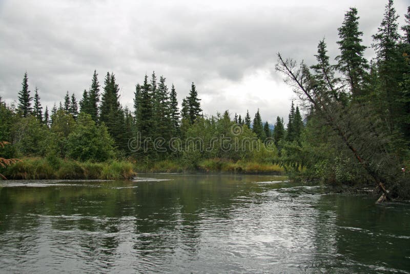 Alaska Stream stock photo. Image of panorama, flora, autumn - 3597058