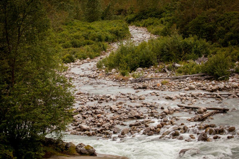 Alaska stream stock photo. Image of cold, scenic, dense - 88765650