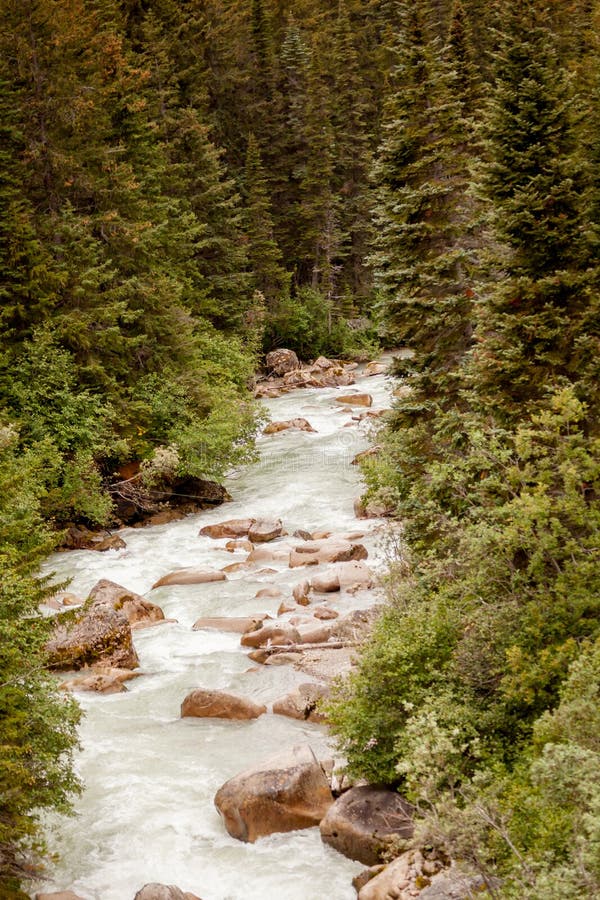 Alaska stream stock photo. Image of cold, scenic, dense - 88765650