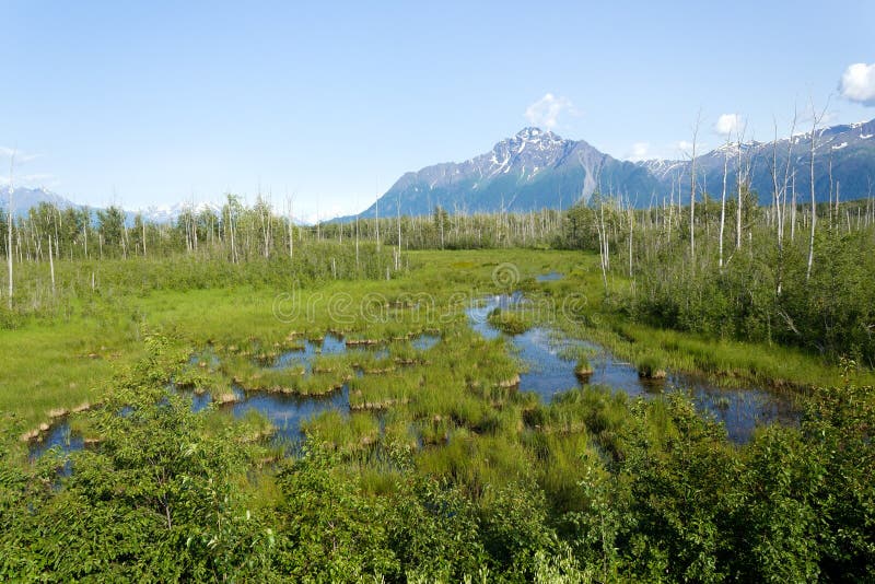 Alaska in summer stock image. Image of pioneer, glenn - 38709755
