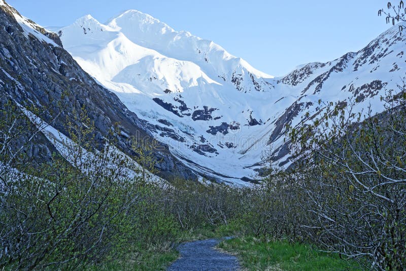 Alaska trail stock photo. Image of hiking, leading, trail - 71373022