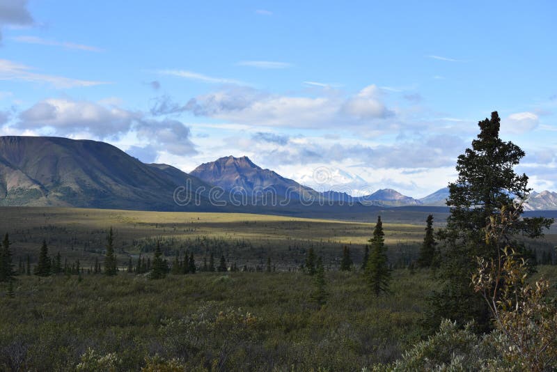 Alaskan countryside stock photo. Image of gold, autumn - 111498576