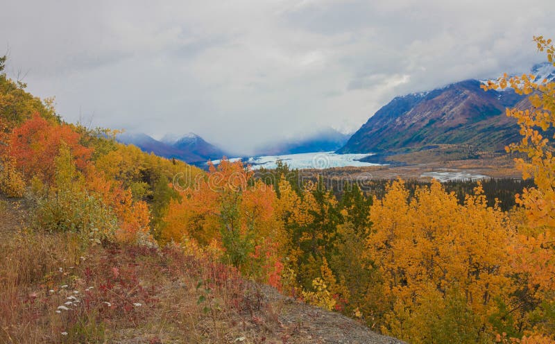 Alaskan fall. stock photo. Image of denali, prince, park - 53195014