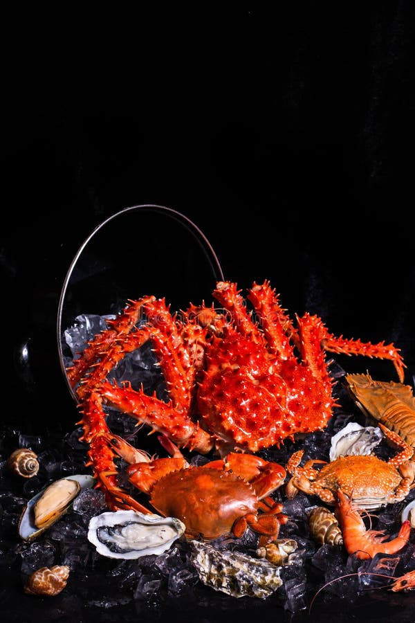 Alaskan King krab op ijs stock afbeelding. Image of alaskan - 156883769