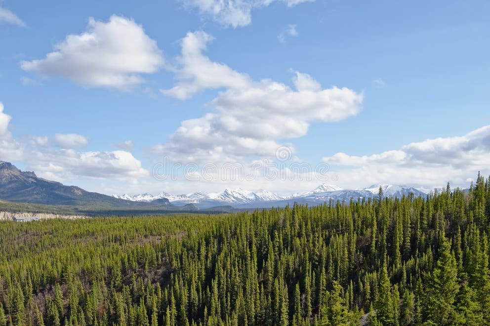 Alaskan landscape stock photo. Image of greenery, outdoor - 11182402