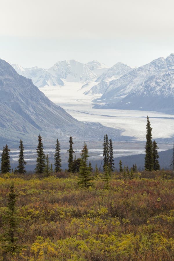 Alaskan Landscape in the Fall Stock Photo - Image of view, landscape ...