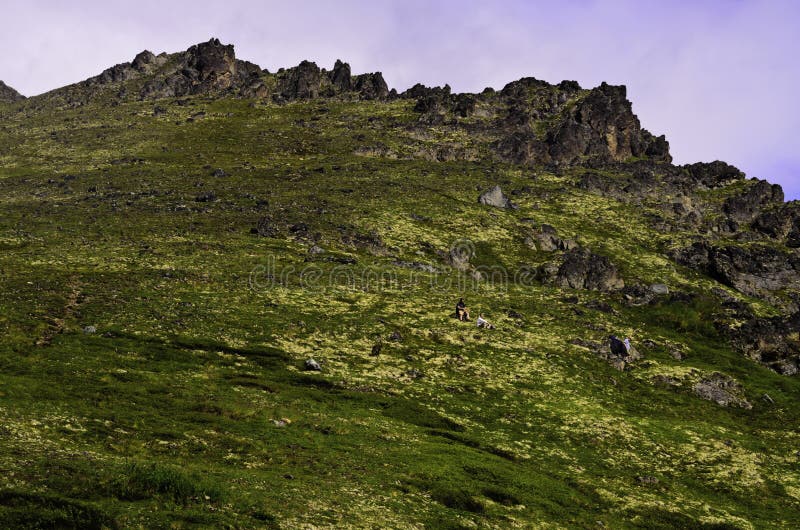 Alaskan peak stock image. Image of agriculture, petal - 37798299