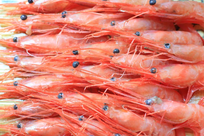Alaskan pink shrimp stock photo. Image of eous, shrimp - 74414440