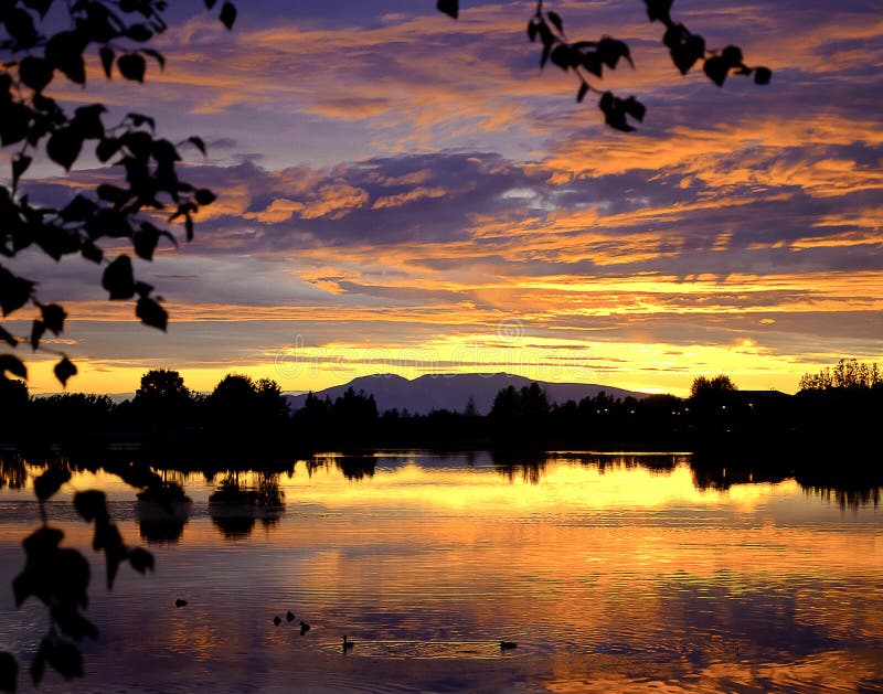 Alaskan sunset stock image. Image of mirror, birds, alpine - 31463305
