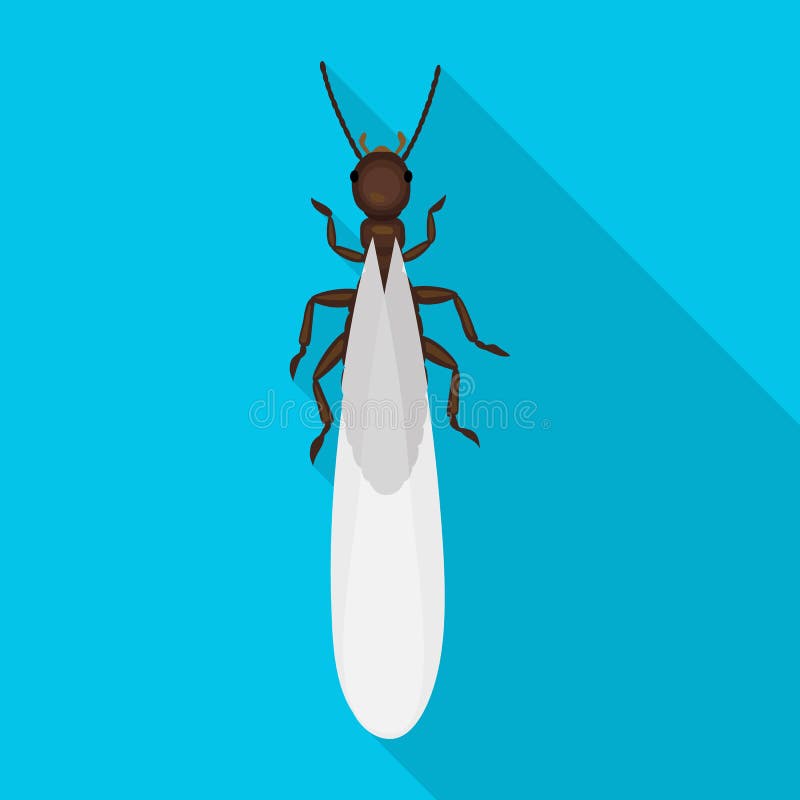 Alates Termite, Vector Icon.Black Vector Logo Isolated on White ...