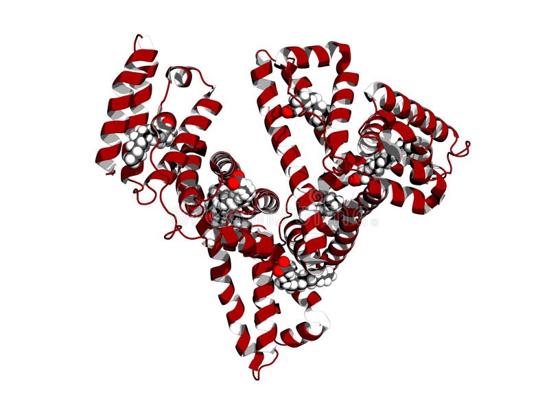 Albúmina de suero humana stock de ilustración. Ilustración de medicina ...