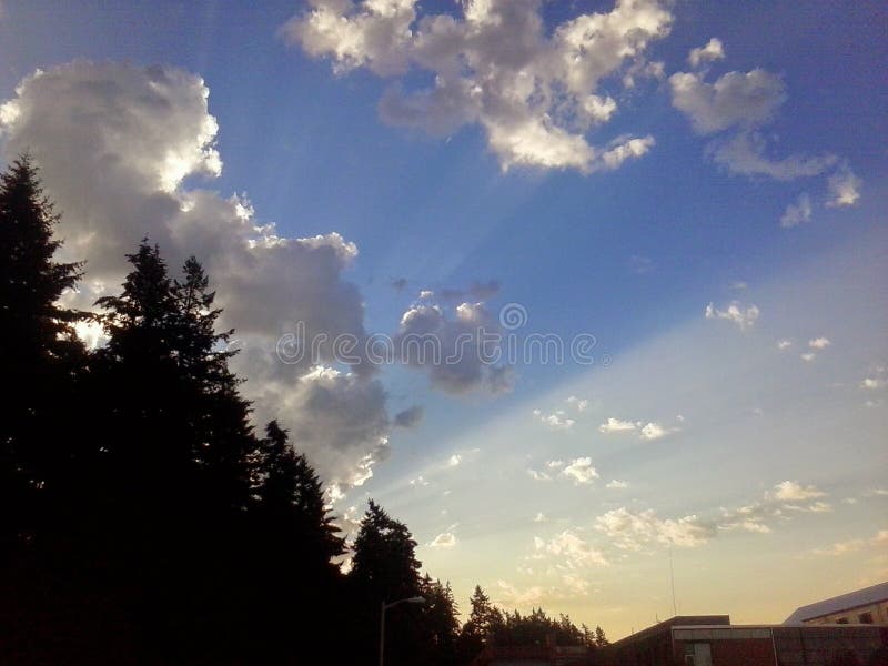 ALBA fotografia stock. Immagine di bello, alba, illumina - 117781998