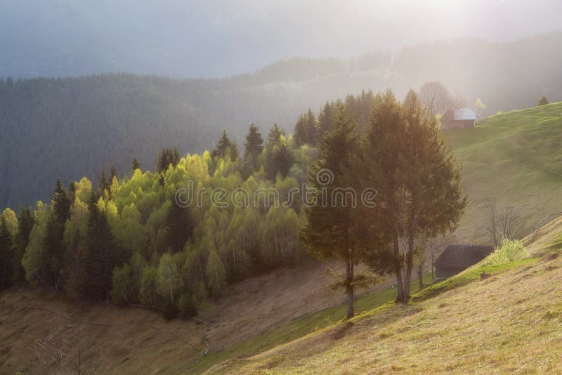 Alba Della Montagna Della Primavera Fotografia Stock - Immagine di ...