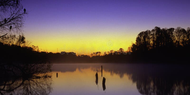 Alba sul lago Alice immagine stock. Immagine di gainesville - 50159227
