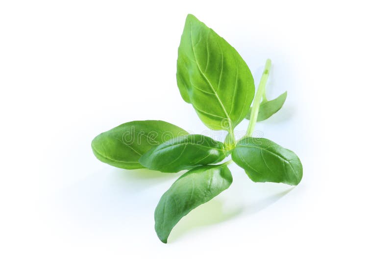 Mujer Hermosa Con El Pelo Rizado Imagen de archivo - Imagen de azul ...