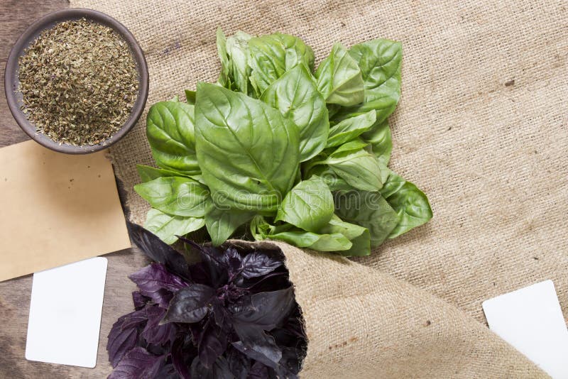 122 Albahaca Seca Y Fresca Fotos de stock - Fotos libres de regalías de ...