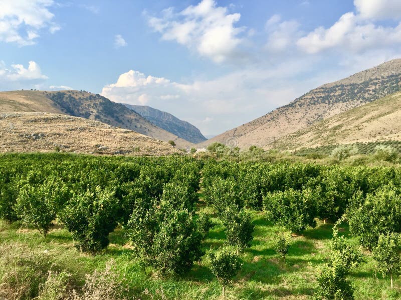 Albania stock photo. Image of albania, green, trees - 124494150