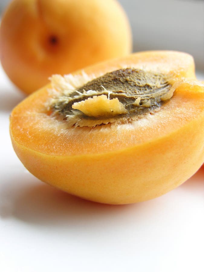 Albaricoque imagen de archivo. Imagen de ajuste, fresco - 192427