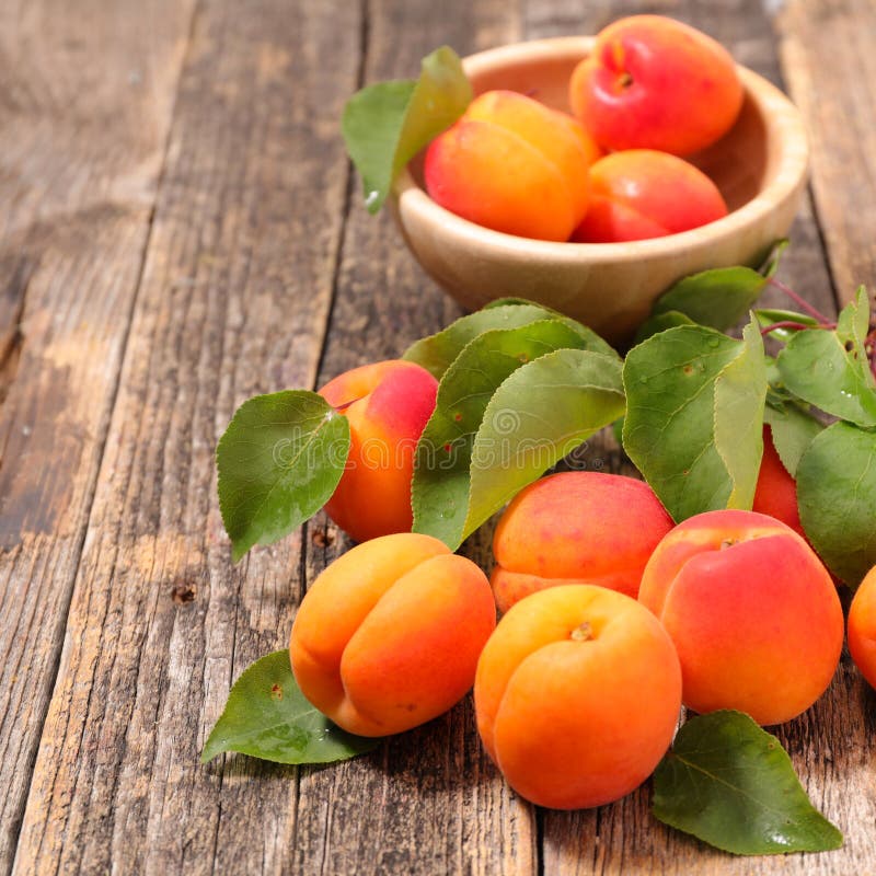 Albaricoque y hoja foto de archivo. Imagen de dieta - 118247488