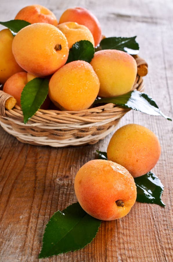 Mermelada de albaricoques imagen de archivo. Imagen de primer - 56732485