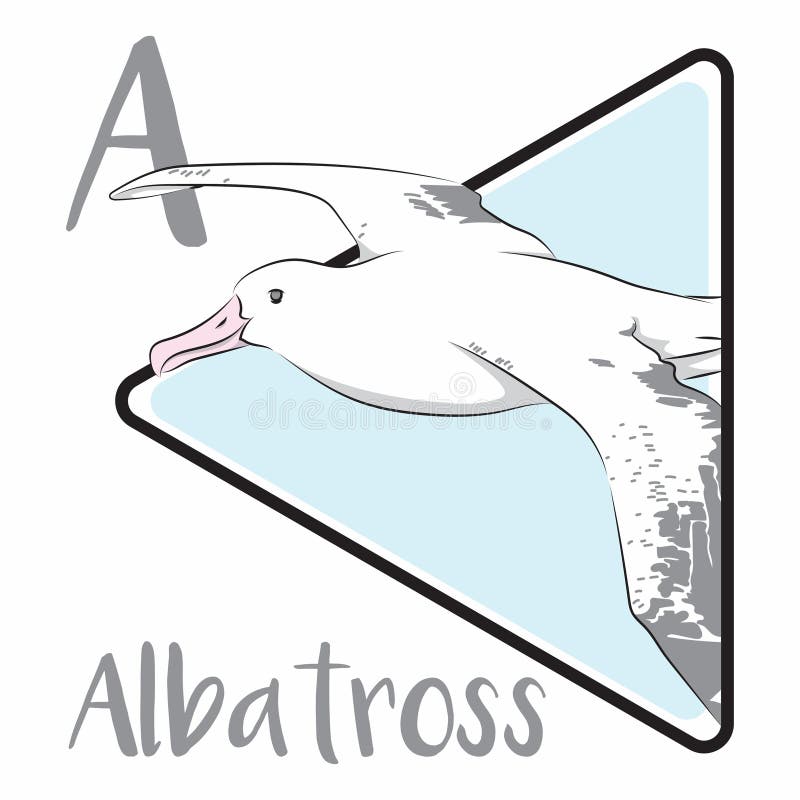 White Albatross Flying Over the Blue Ocean Stock Illustration ...