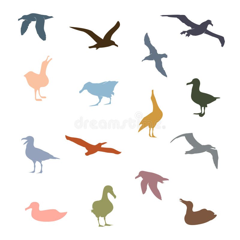 Albatross Bird Icon. Colorful Seagulls Vector Illustration Stock Vector ...