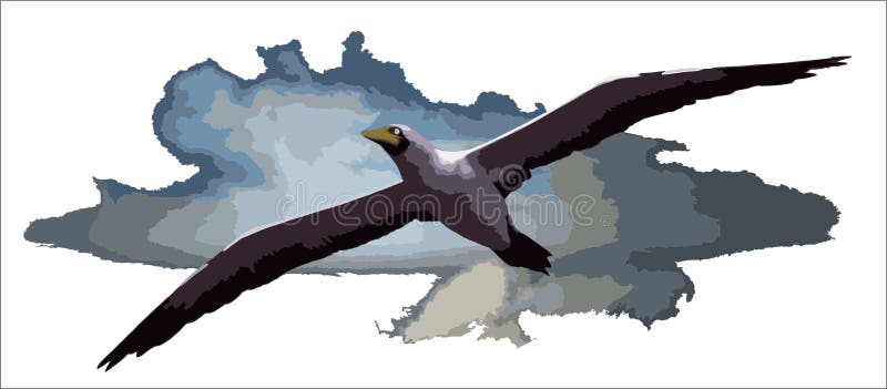 Albatross in high flight stock vector. Illustration of positioned ...