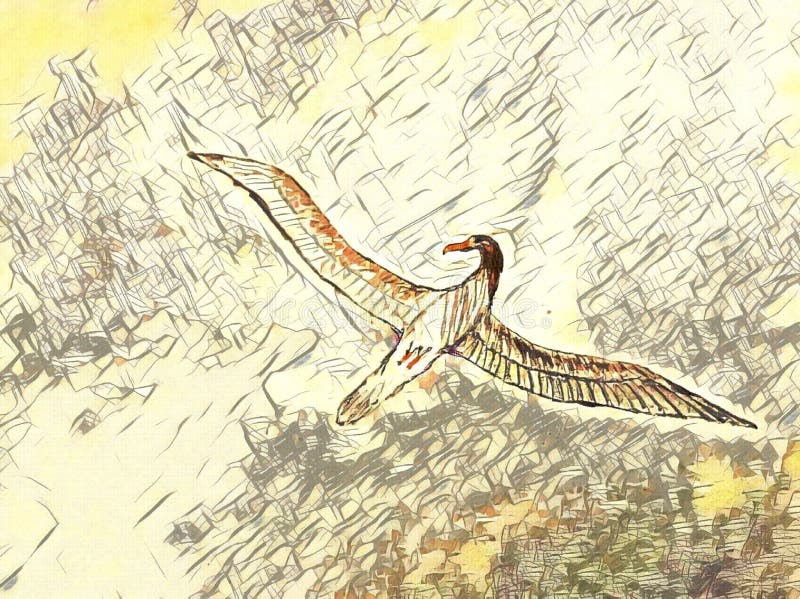 Albatross stock illustration. Illustration of bird, wildlife - 350983271