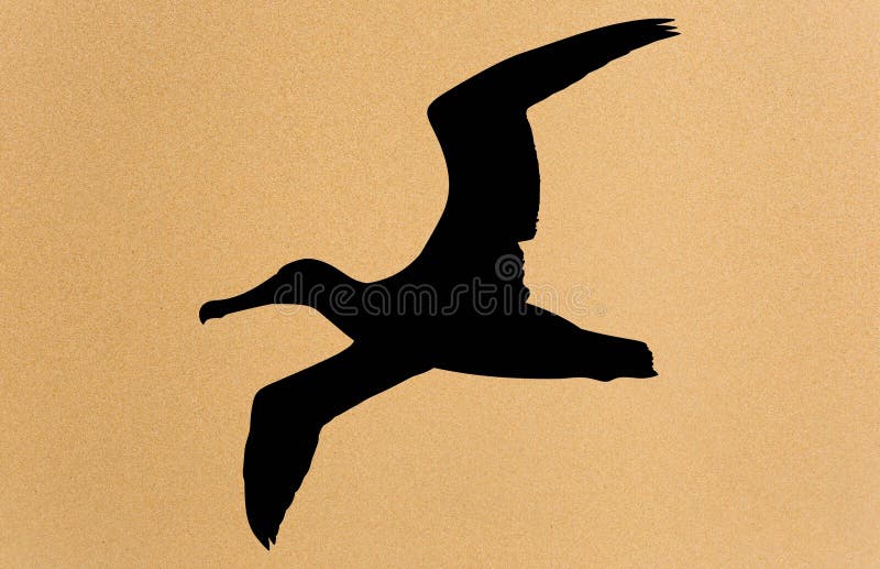 Albatross Silhouette, Albatross Silhouette Black Vector Illustration ...