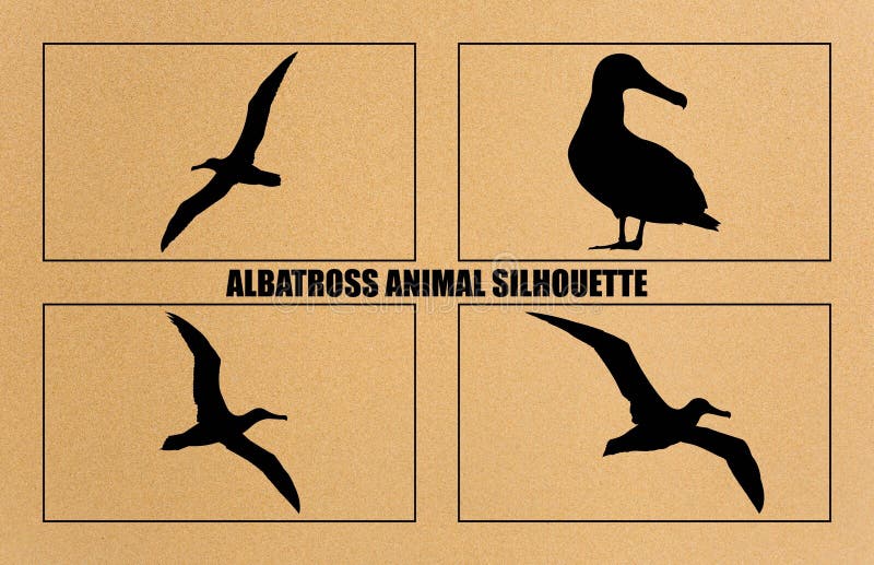 Albatross Silhouette Set, Albatross Silhouette Black Vector ...