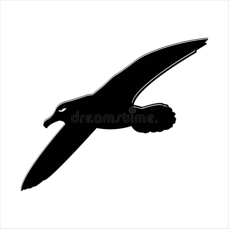 Albatross Vector Design Modern Illustration Template Web Stock ...