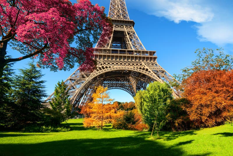 Alberi in Parco Di Parigi in Autunno Fotografia Stock - Immagine di ...