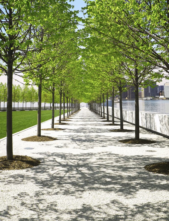 Alberi in parco, New York fotografia stock. Immagine di passerella ...