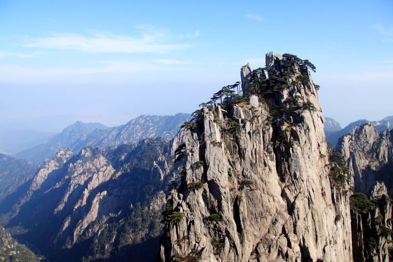 Alberi Sulla Cima Della Montagna Immagine Stock - Immagine di fessura ...