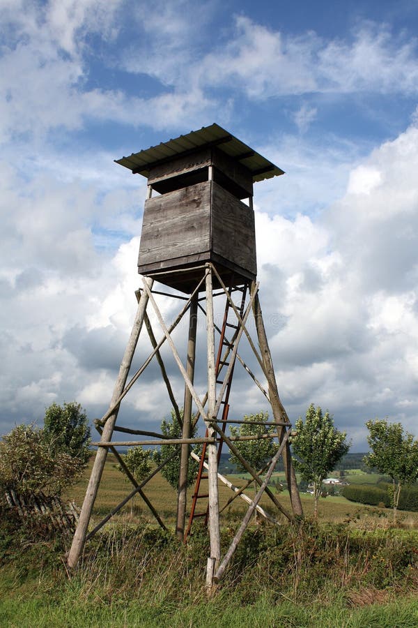 Alberino dell'allerta fotografia stock. Immagine di sguardo - 18077454