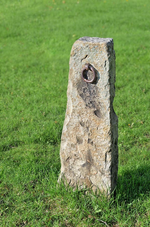 Alberino Hitching Dell'annata Immagine Stock - Immagine di muschio ...