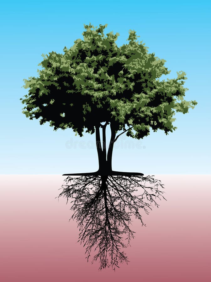 Albero con le radici illustrazione vettoriale. Illustrazione di grafico ...