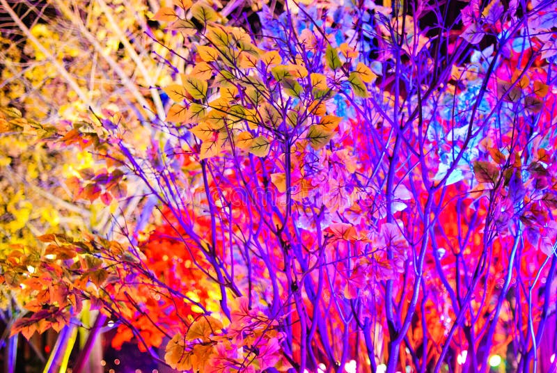 Albero di colore fotografia stock. Immagine di luminoso - 36149410