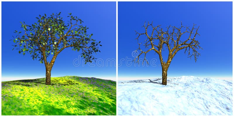 Albero Di Inverno E Di Estate Illustrazione di Stock - Illustrazione di ...