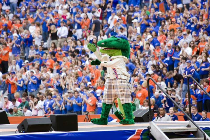 1,294 Florida Gators Stock Photos - Free & Royalty-Free Stock Photos ...