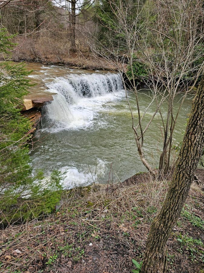 Albert Falls in Tucker County West Virginia Stock Photo - Image of west ...