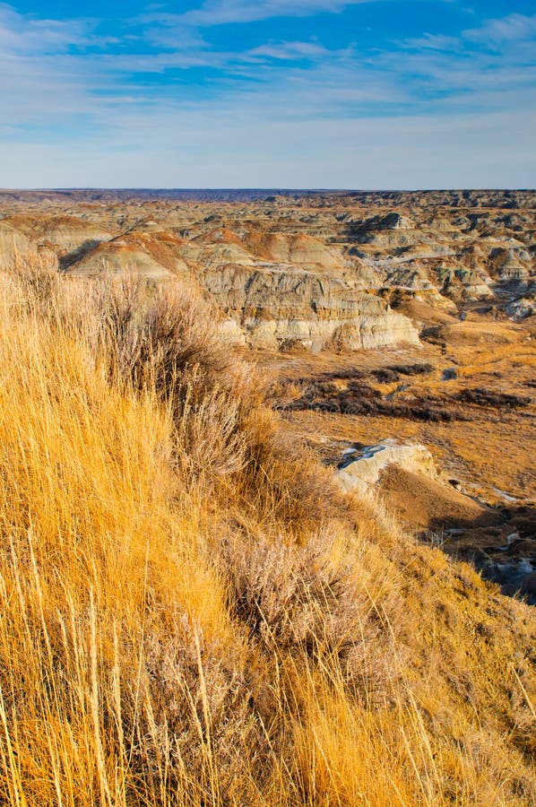 Alberta Badlands stock photo. Image of formations, geology - 23357364