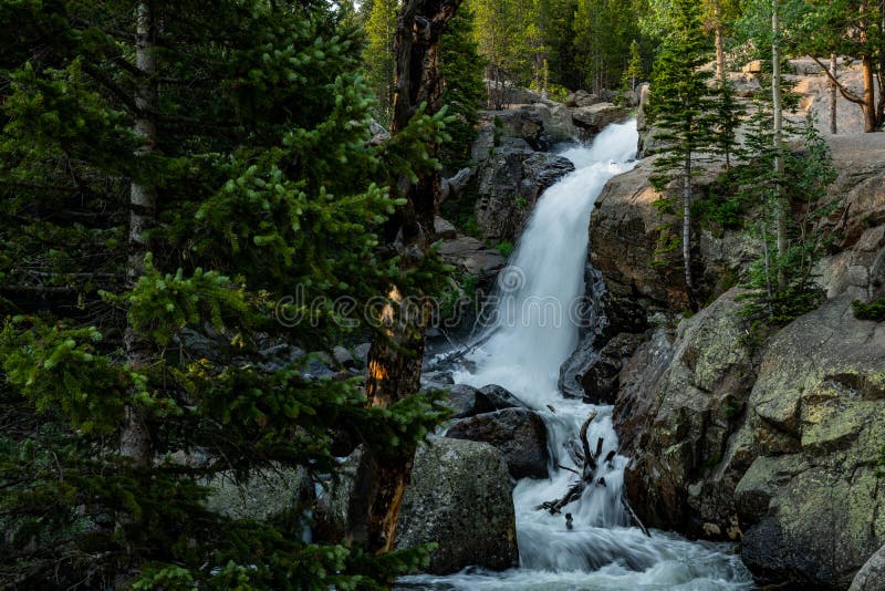 Alberta Falls Flows Around Pine Tree Stock Photos - Free & Royalty-Free ...
