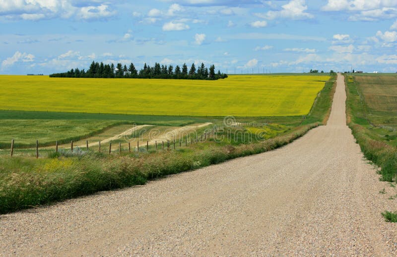 Alberta Farmlands stock photo. Image of dirt, rural, alberta - 12416440