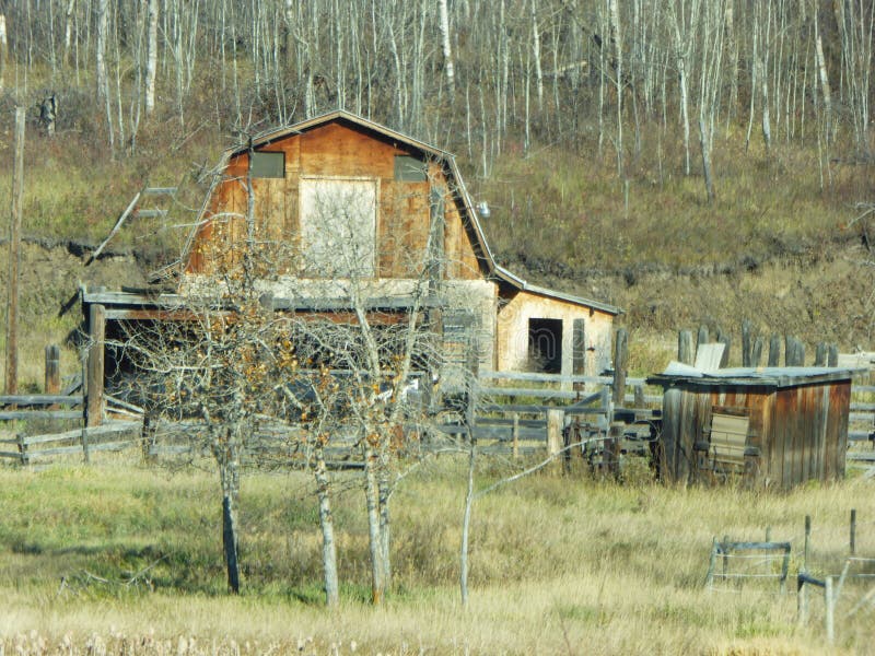 Alberta Farms and Ranches stock image. Image of trees - 64945889