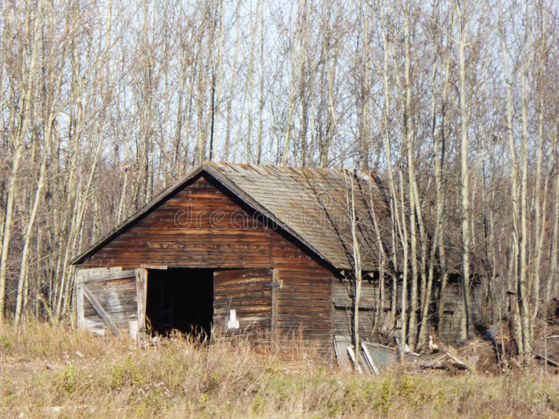 Alberta Farms and Ranches stock photo. Image of trees - 64945902
