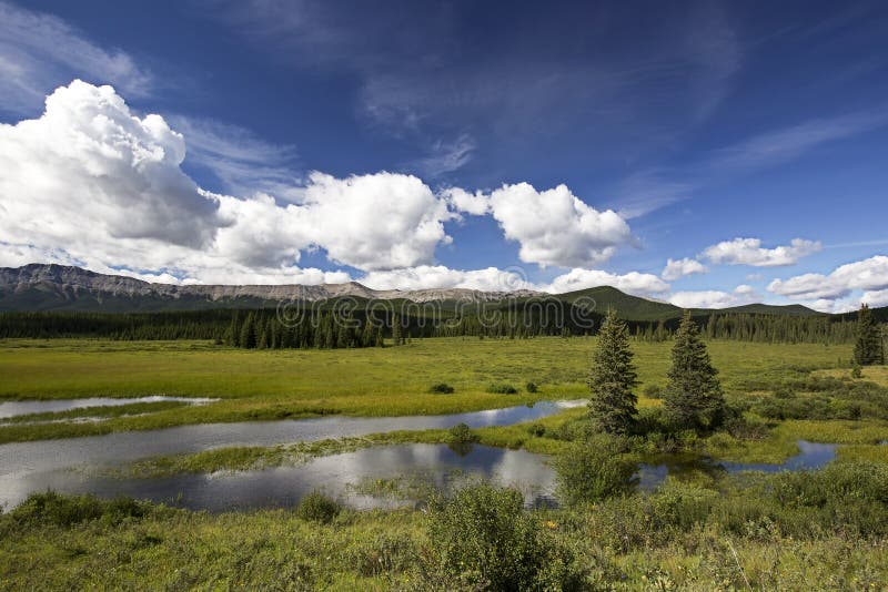 Alberta Foothills stock image. Image of tree, peak, summertime - 47368171